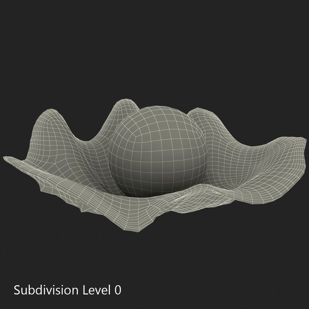 3d Pearl Shell 3