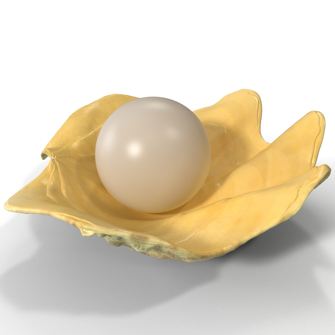 3d pearl shell 3