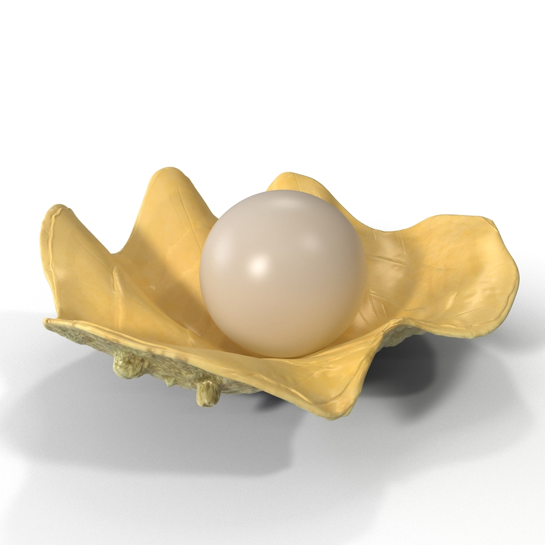 3d Pearl Shell 3