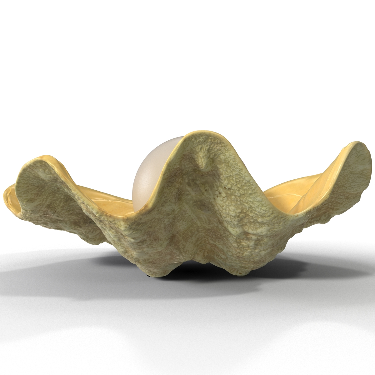 3d pearl shell 3