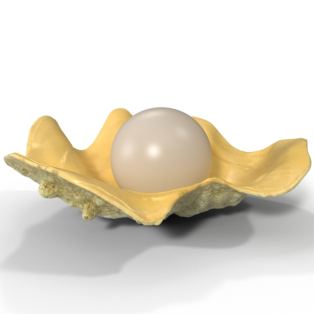 3d pearl shell 3