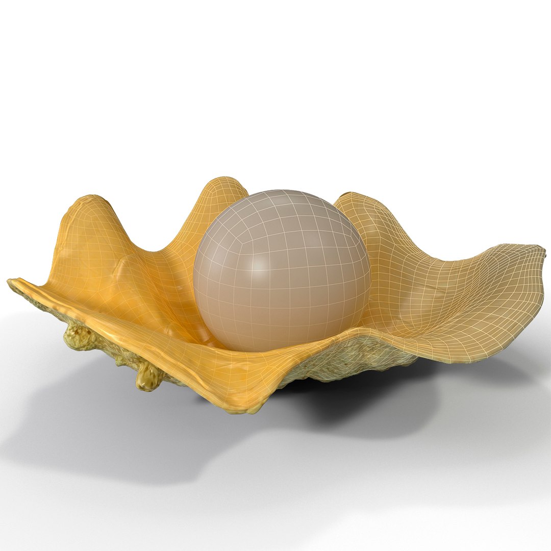 3d Pearl Shell 3