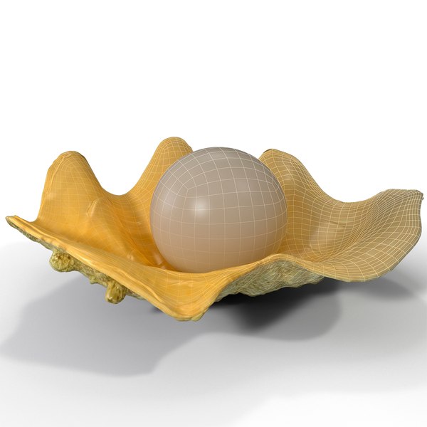 3d pearl shell 3