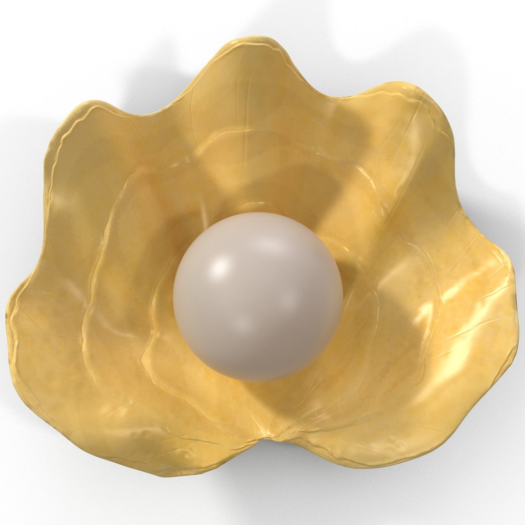 3d Pearl Shell 3