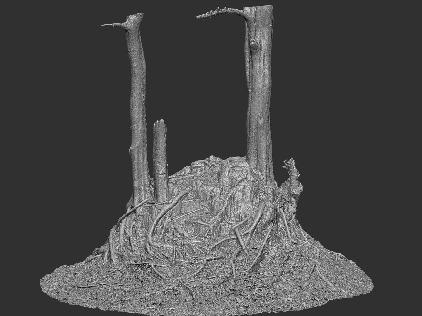 3d jungle tree ultra hd model