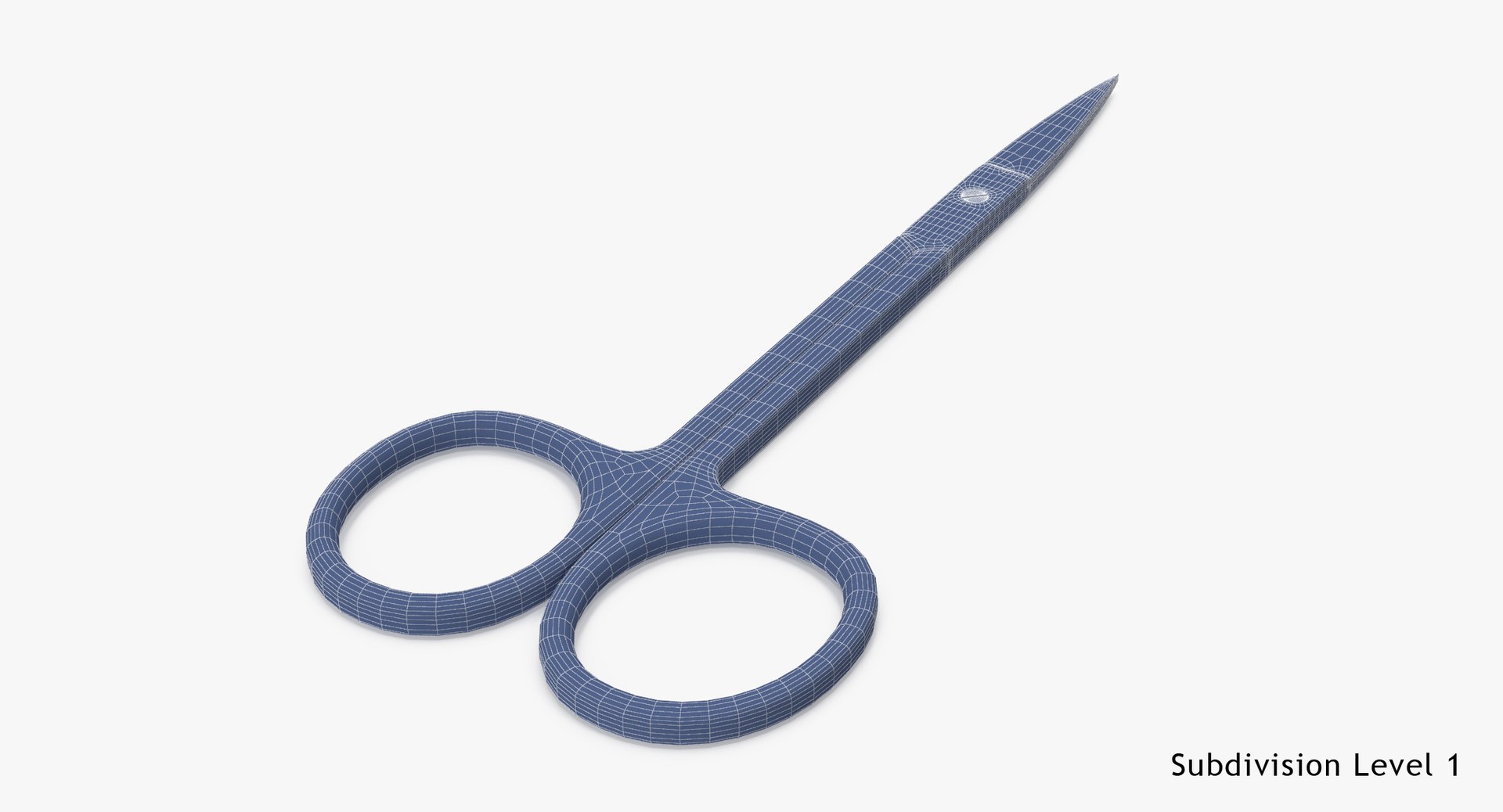 3d Model Of Medical Scissors