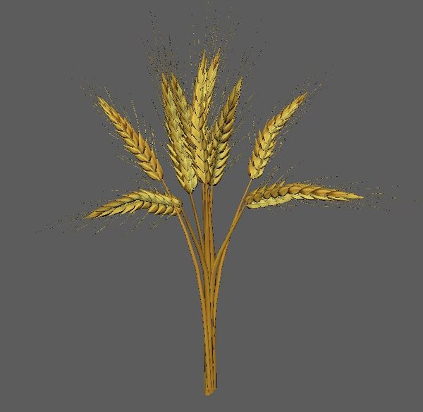 modelo 3d Trigo - TurboSquid 1142678
