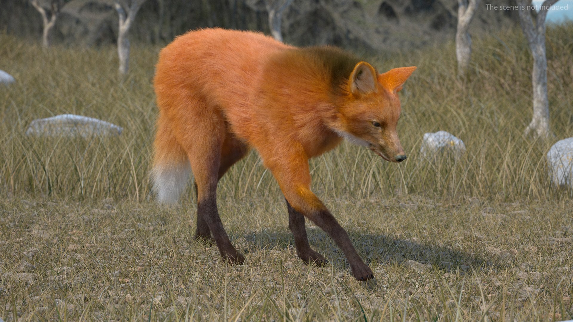 3D Maned Wolf Fur Rigged Model - TurboSquid 2202563