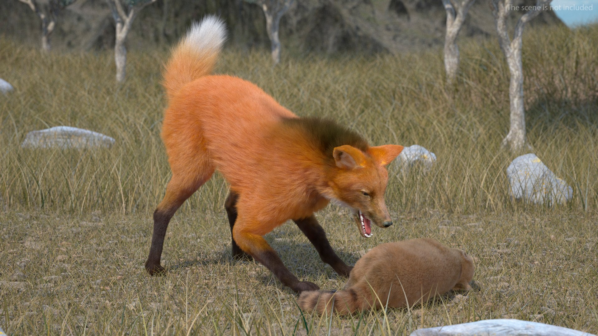 3D Maned Wolf Fur Rigged Model - TurboSquid 2202563