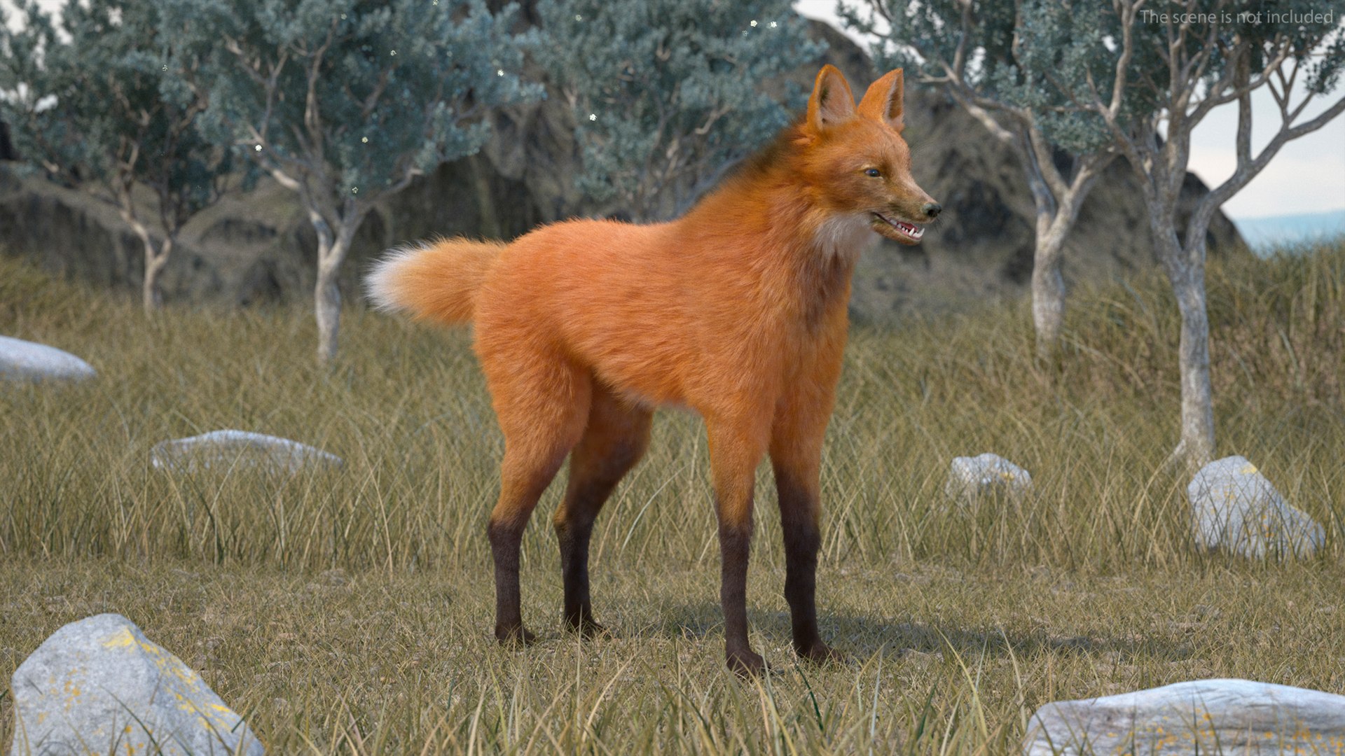 3D Maned Wolf Fur Rigged Model - TurboSquid 2202563