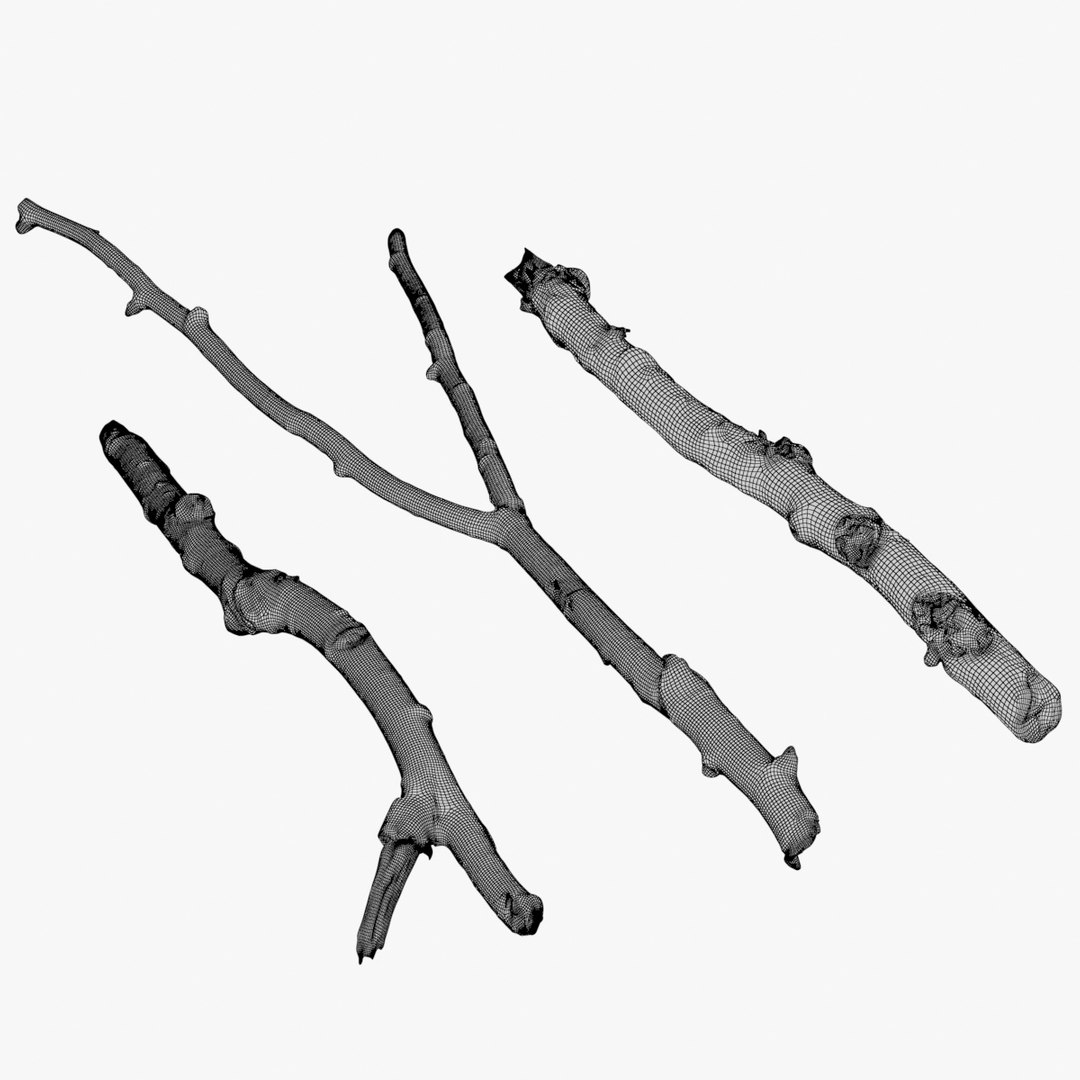 Realistic Branches Set 01 Model - TurboSquid 1220373