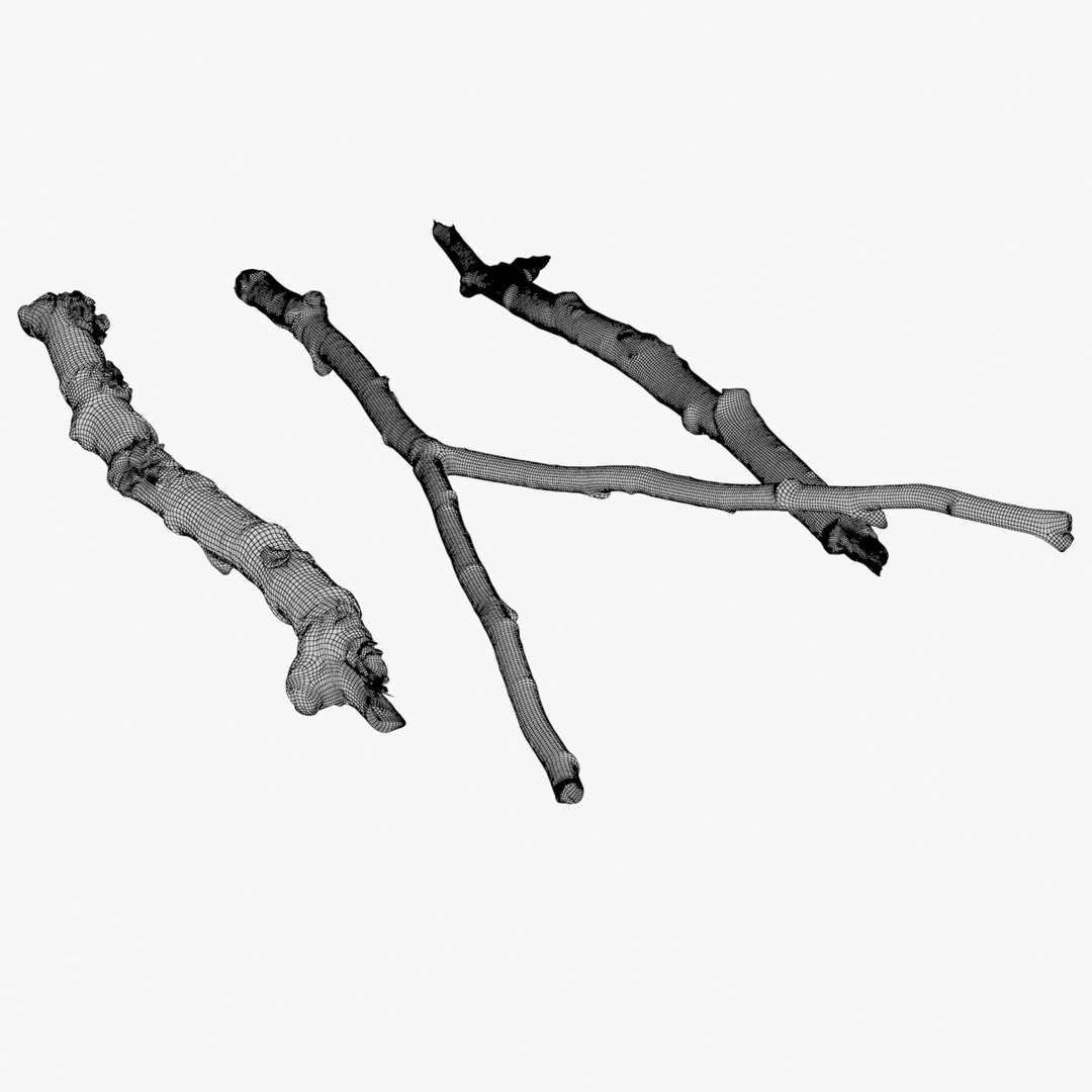 Realistic Branches Set 01 Model - TurboSquid 1220373