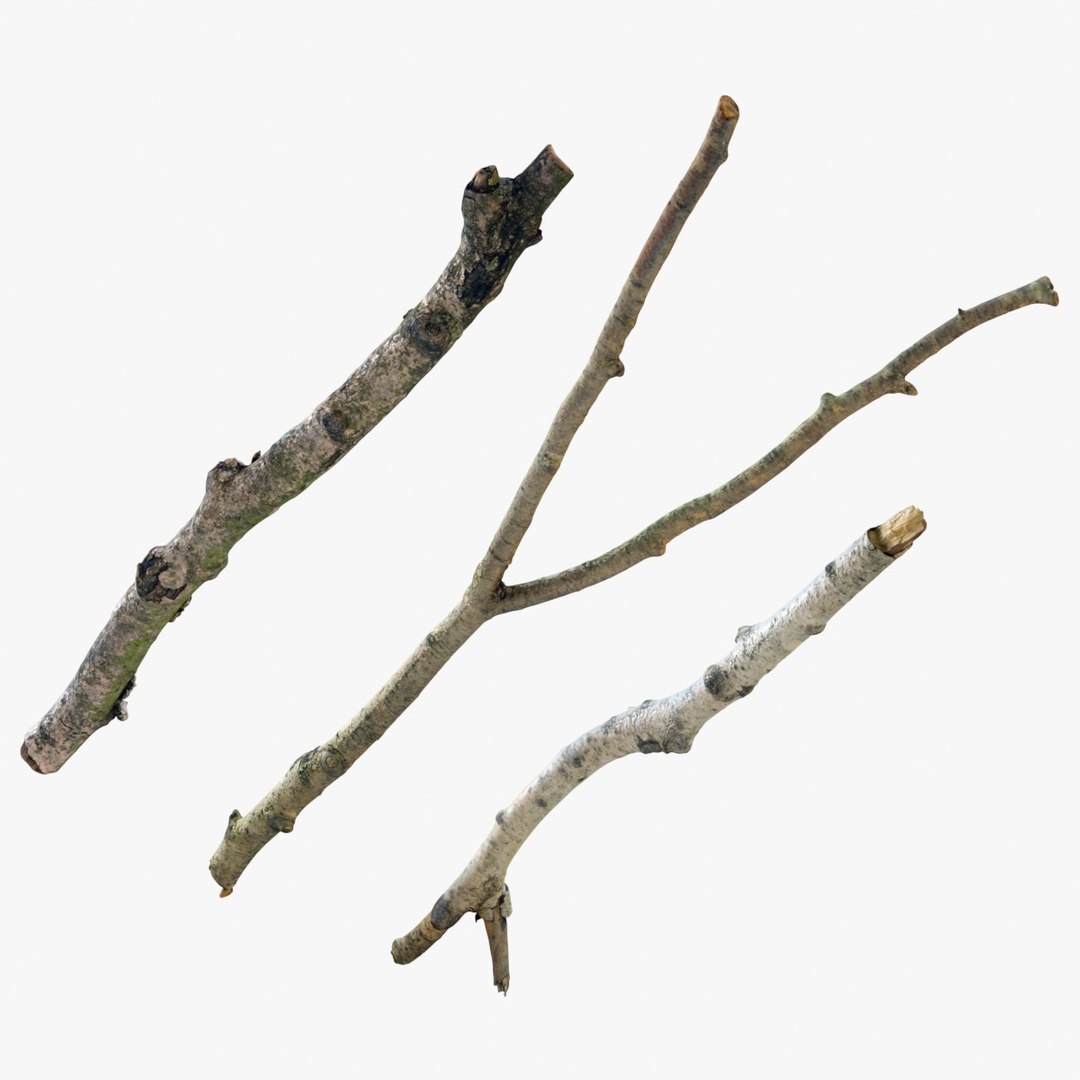 Realistic Branches Set 01 Model - TurboSquid 1220373