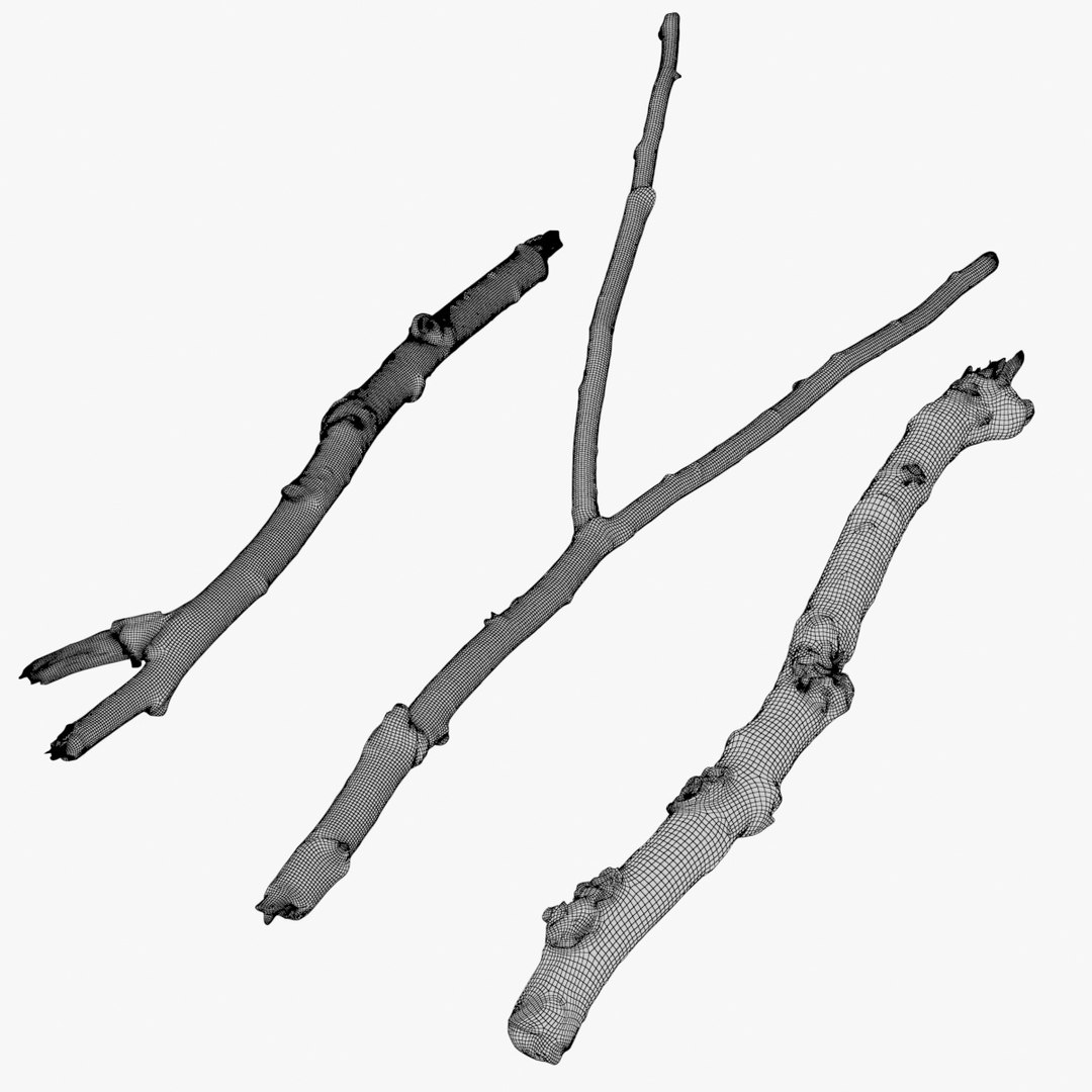 Realistic Branches Set 01 Model - TurboSquid 1220373