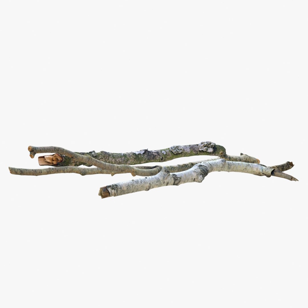 Realistic Branches Set 01 Model - TurboSquid 1220373