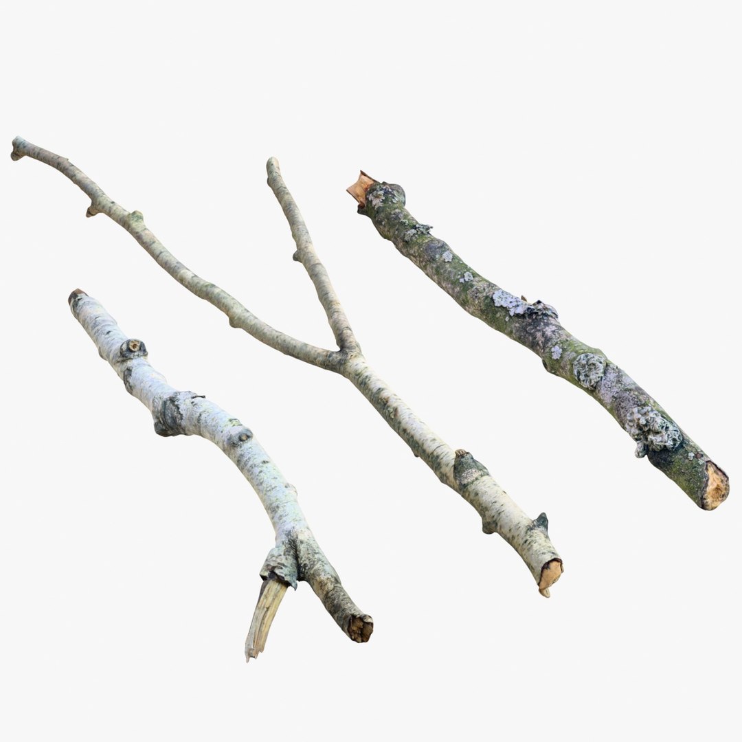 Realistic Branches Set 01 Model - TurboSquid 1220373
