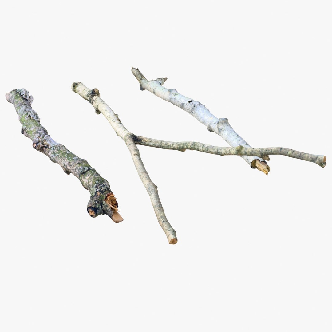 Realistic Branches Set 01 Model - TurboSquid 1220373