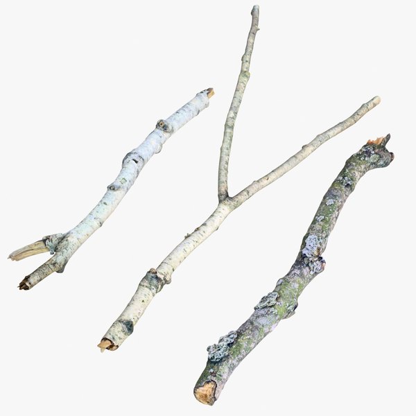 3D realistic branch 02 model - TurboSquid 1218228