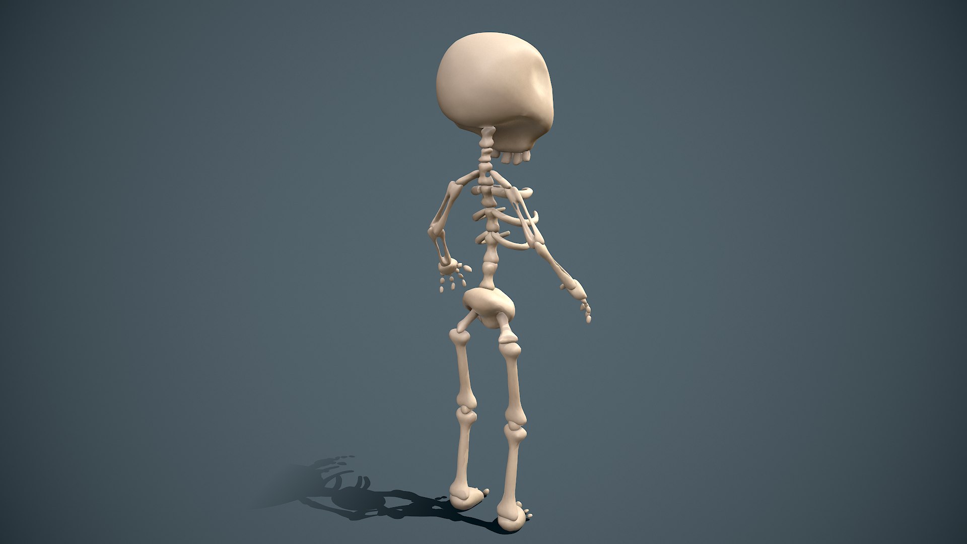 Cartoon Skeleton 3D Model - TurboSquid 2356431
