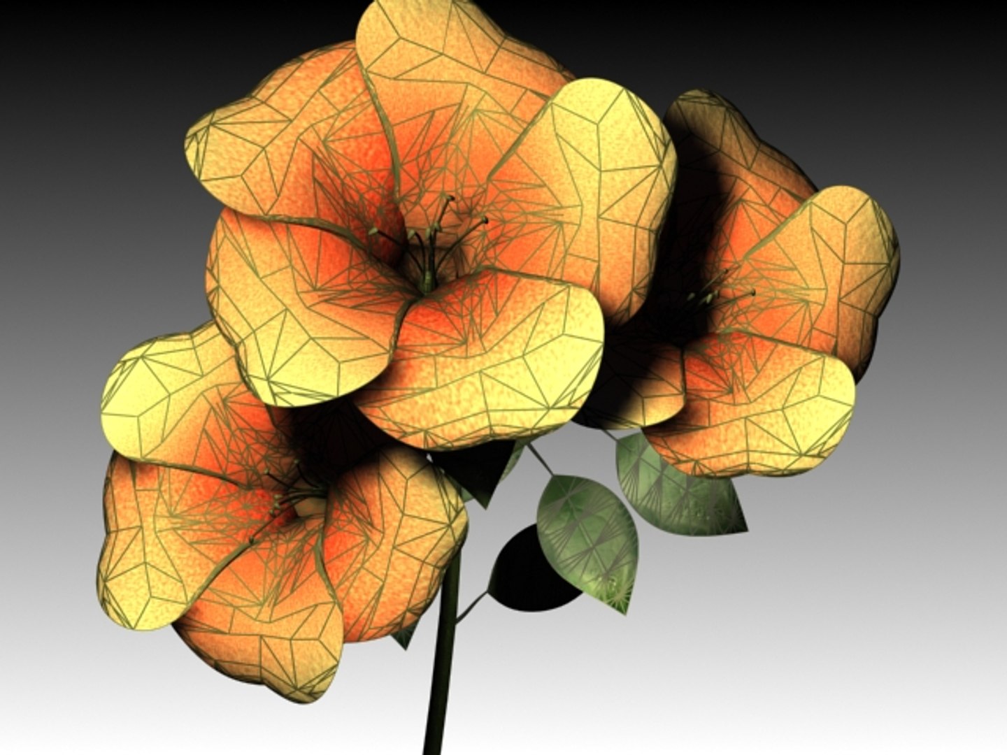 flower max
