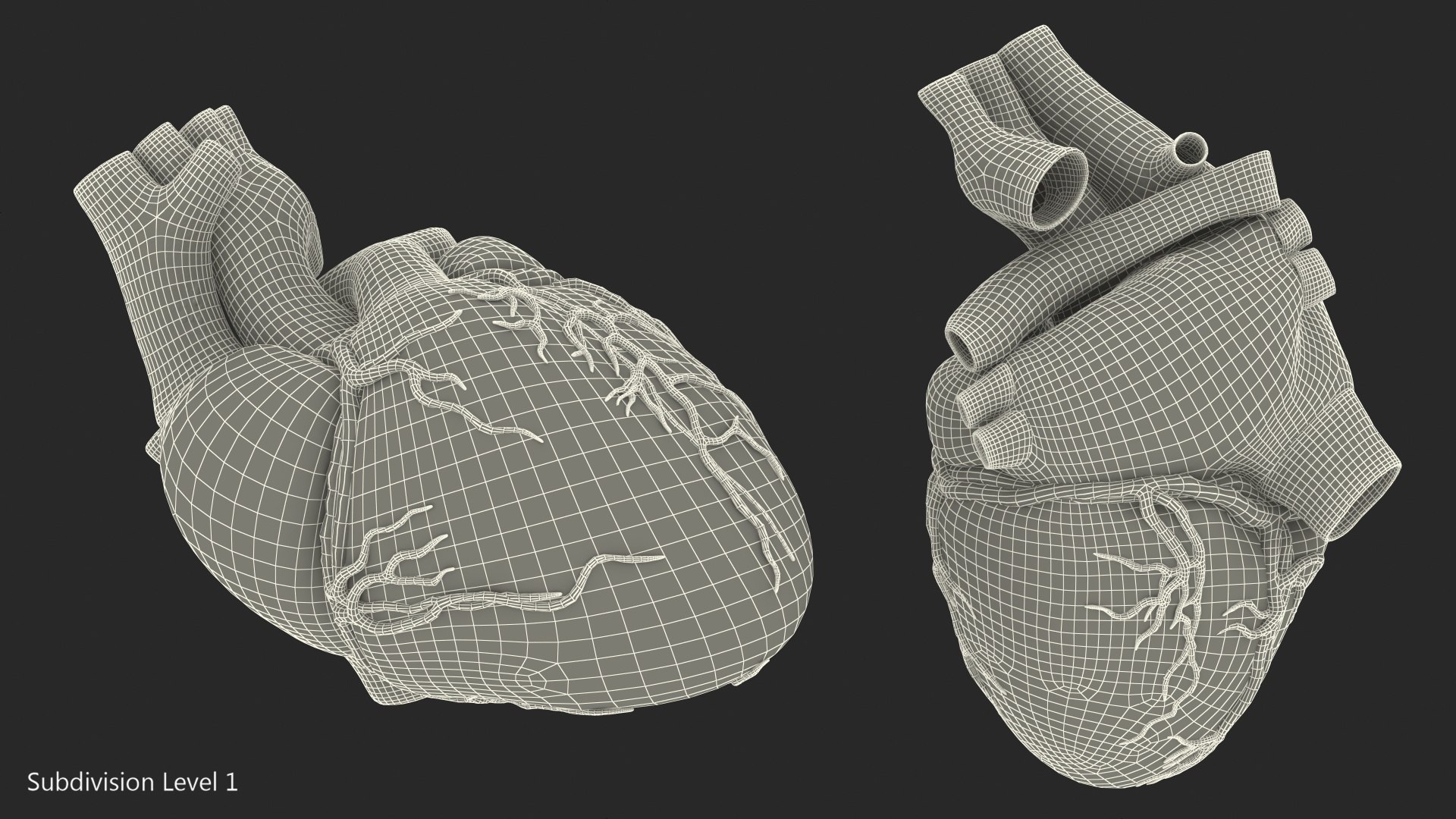 3D Model Human Heart Modeled - TurboSquid 1468292