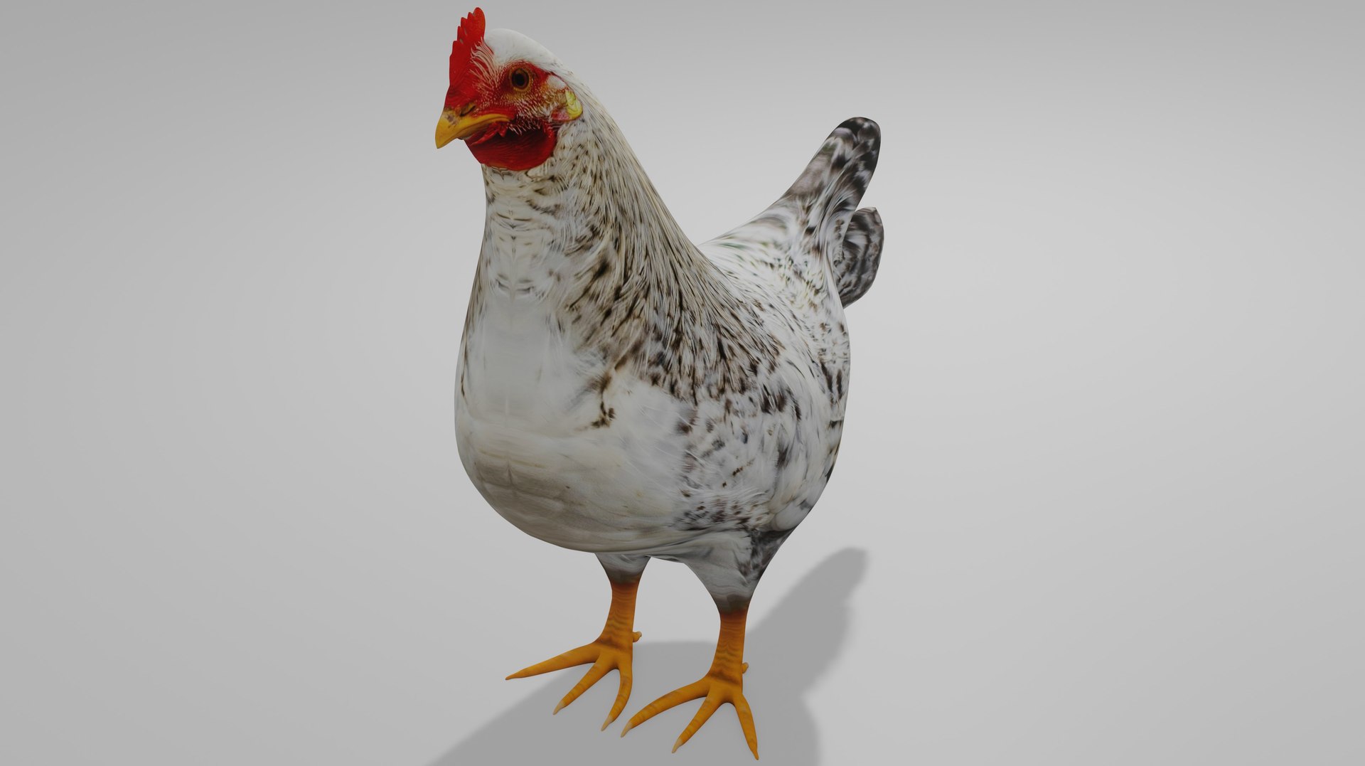 3D Model 2x Pack Hen Plus Baby Chick - TurboSquid 2257031