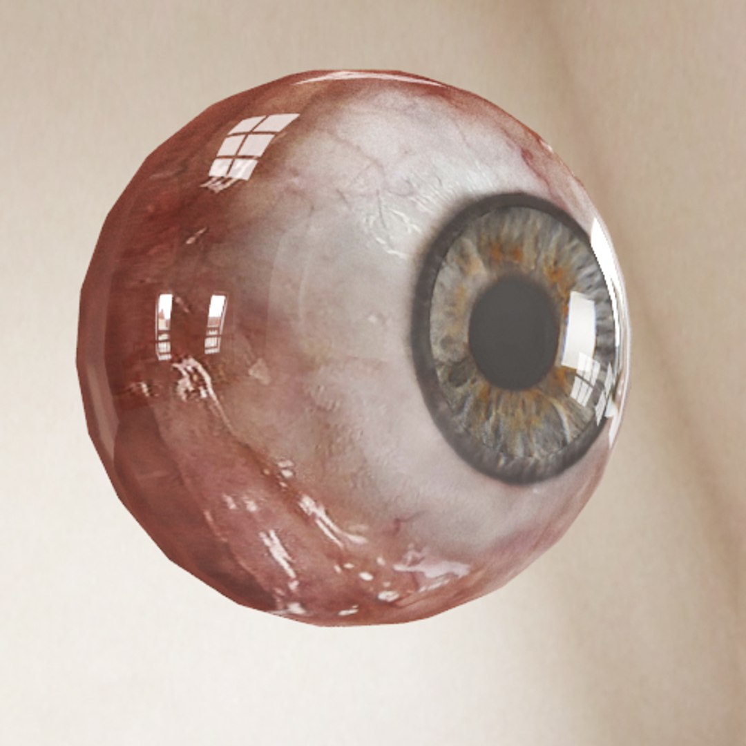 Human Eye Model - TurboSquid 1382803