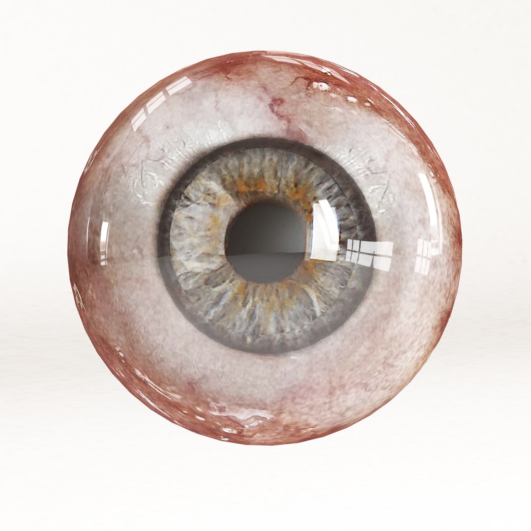 Human Eye Model - TurboSquid 1382803