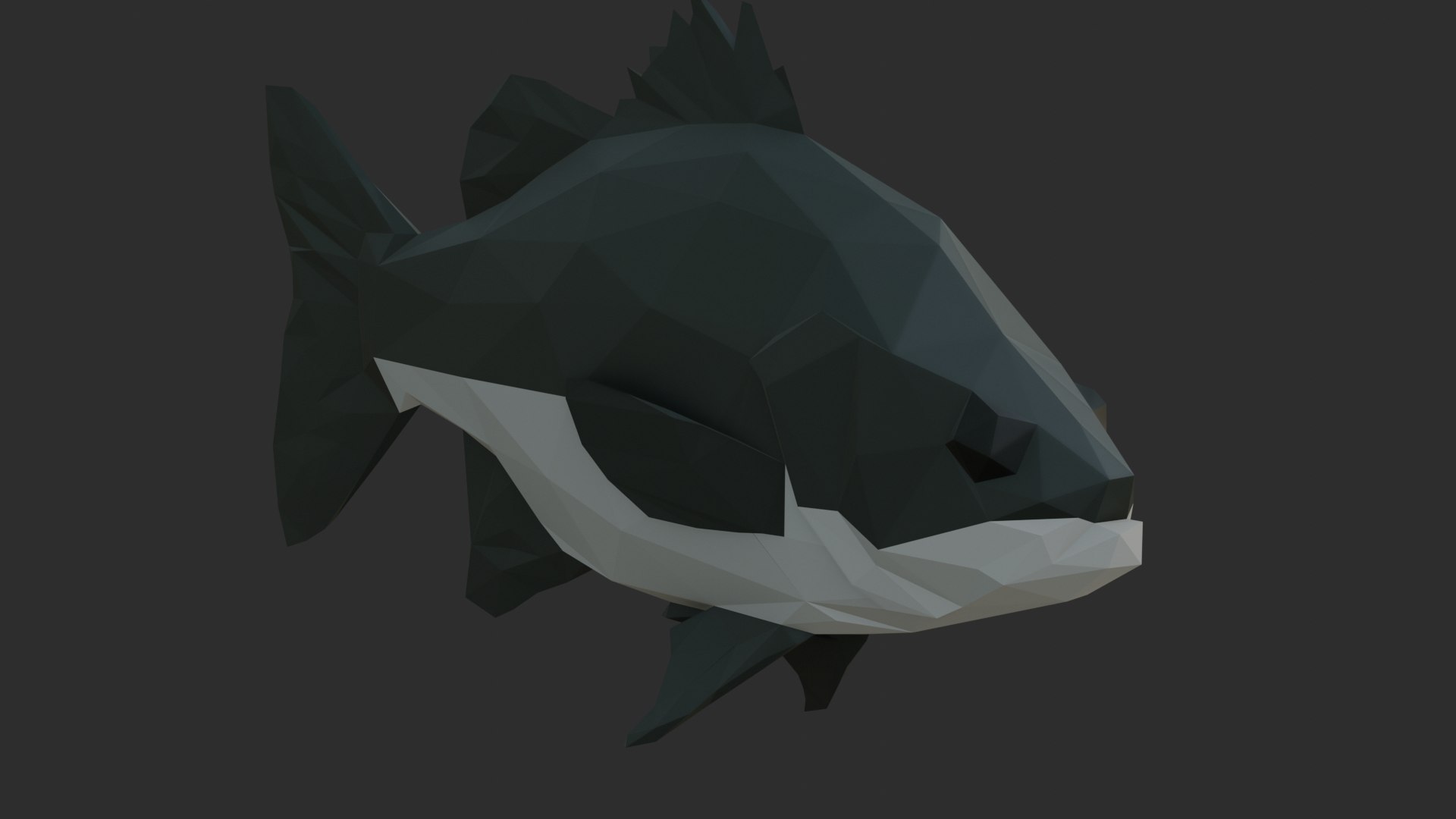 3D LowPoly Australian Bass Rigged Animated - TurboSquid 2386871