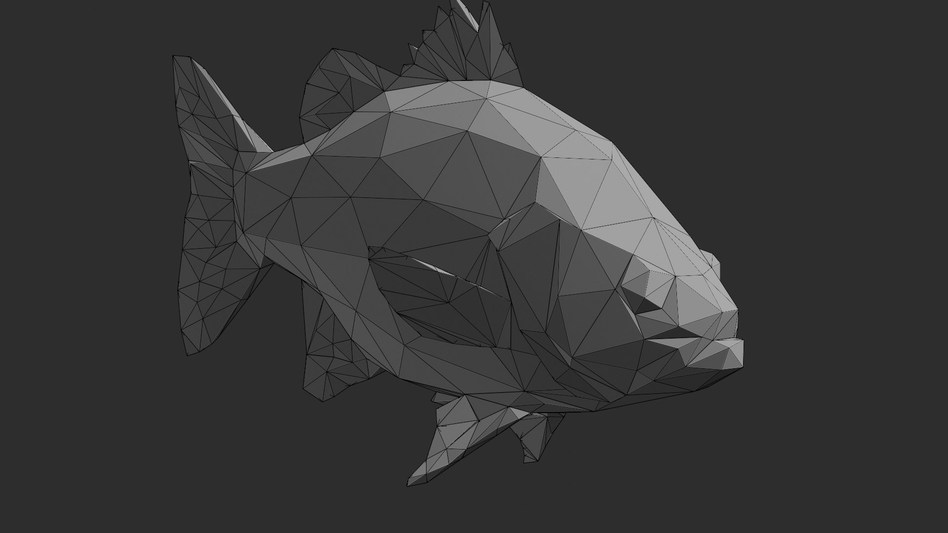 3D LowPoly Australian Bass Rigged Animated - TurboSquid 2386871