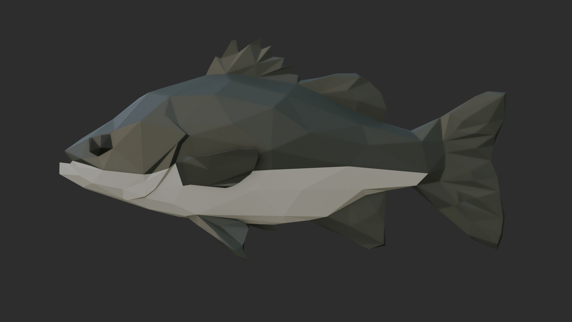 3D LowPoly Australian Bass Rigged Animated - TurboSquid 2386871