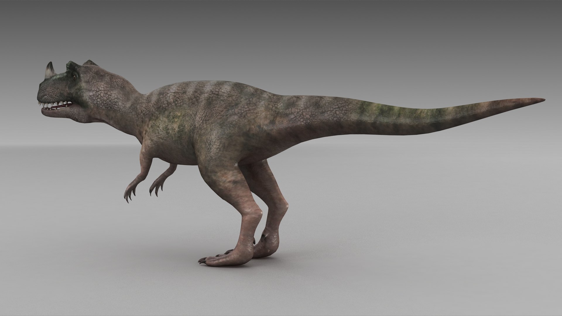 Ceratosaurus Beast Dragon Jurassic Dinosaurs Poseable Wild 3D Model ...