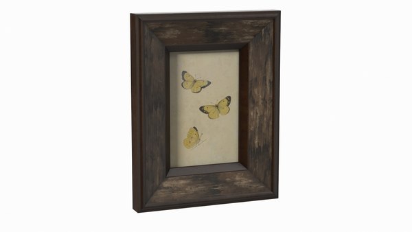 3D Rustic Wooden Frame with Butterflies - TurboSquid 1991706
