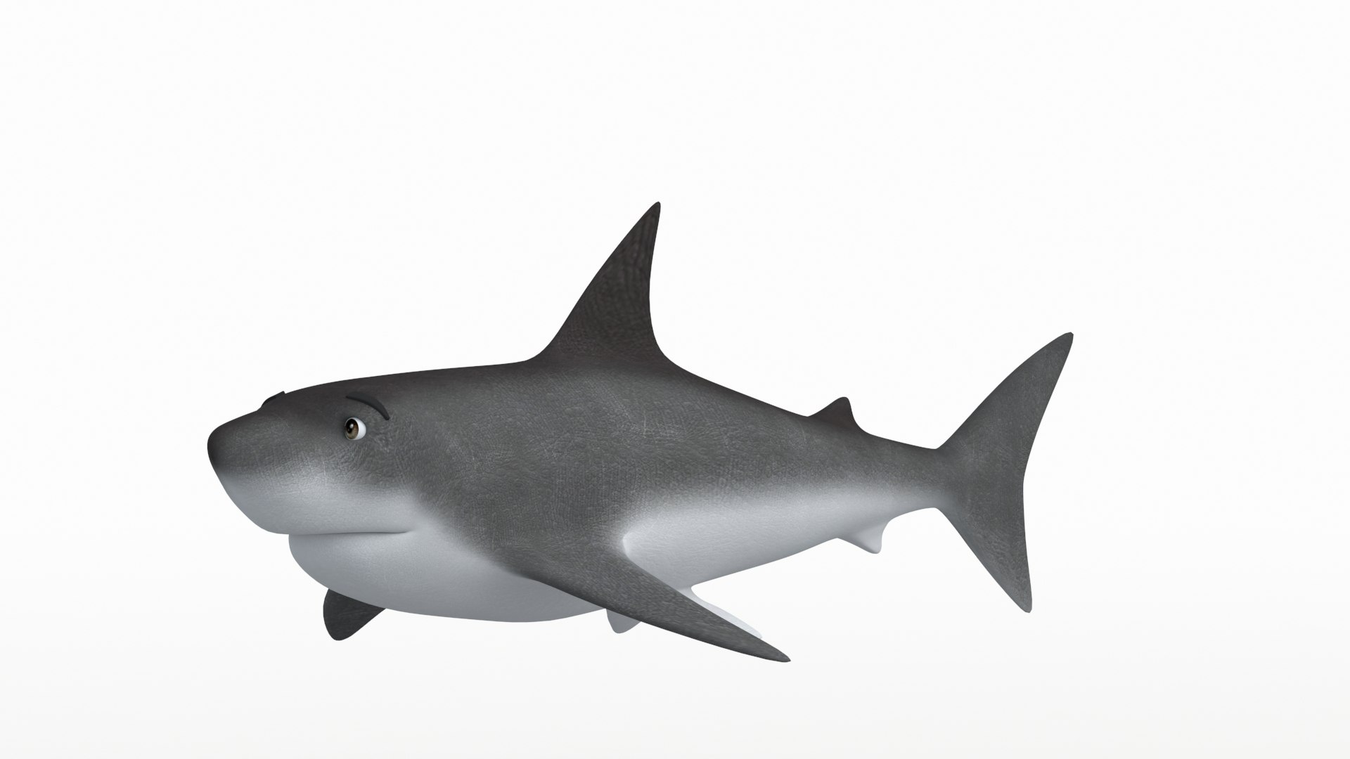 3D Shark Model - TurboSquid 2165452