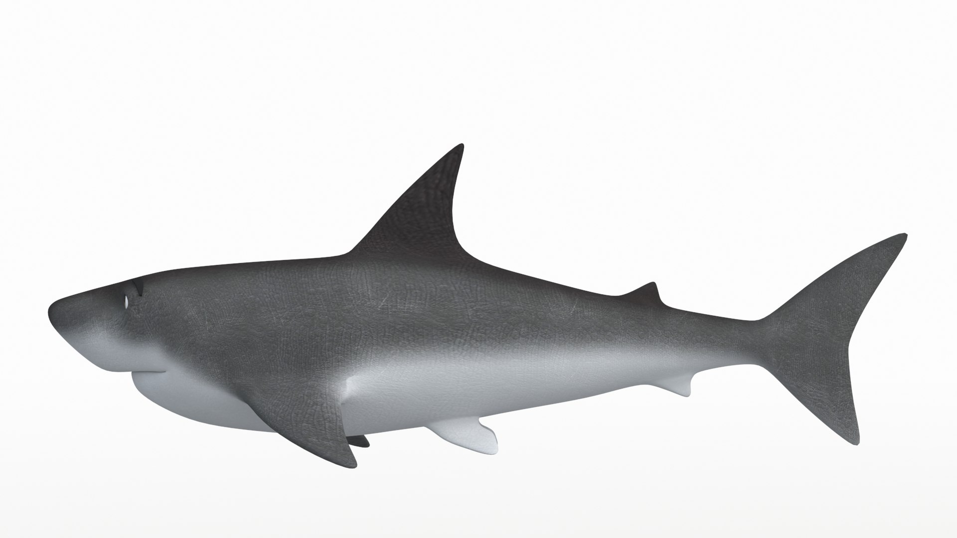 3D Shark Model - TurboSquid 2165452