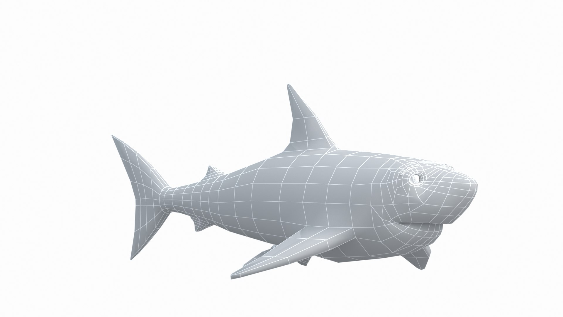 3D Shark Model - TurboSquid 2165452