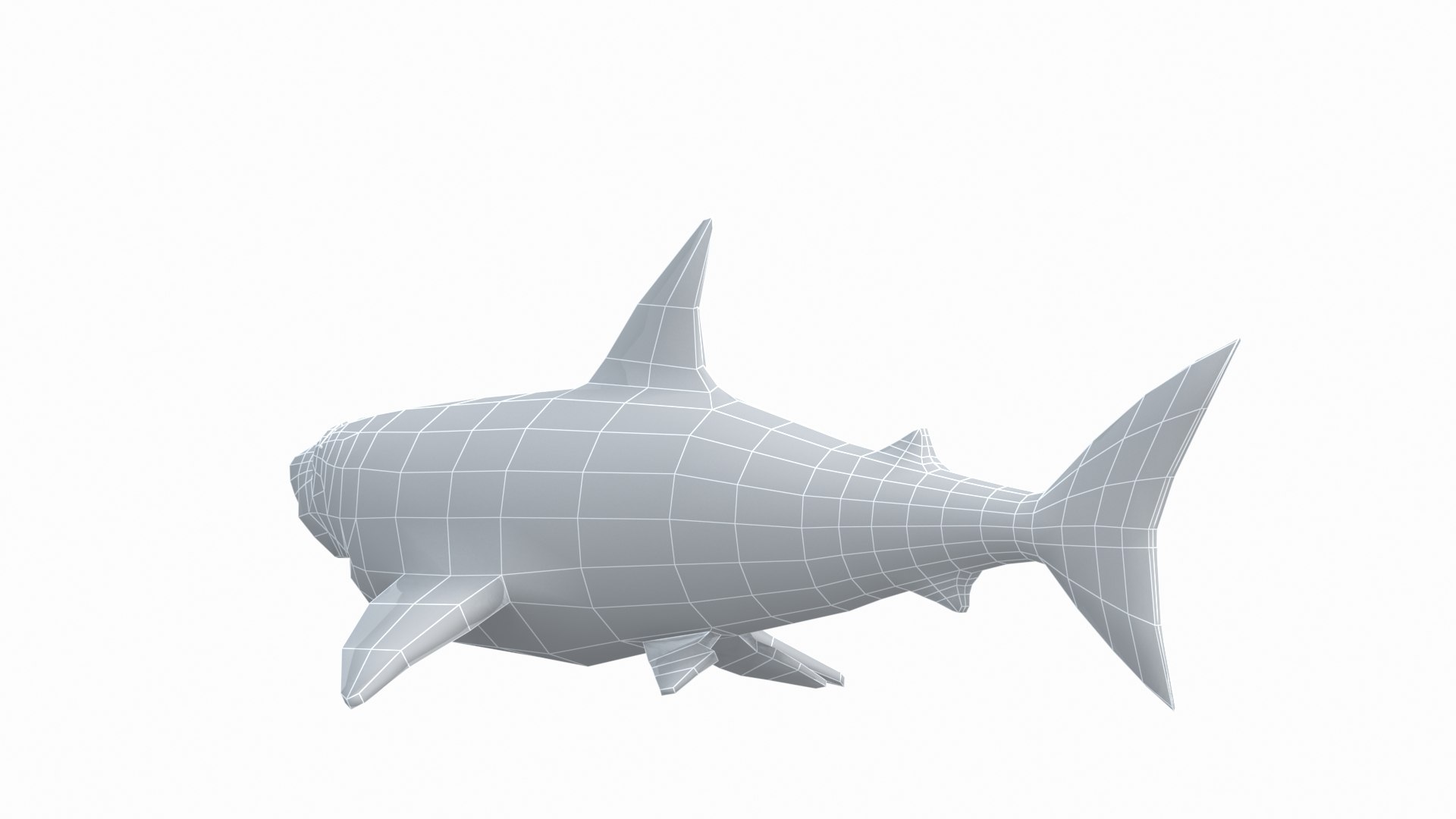 3D Shark Model - TurboSquid 2165452