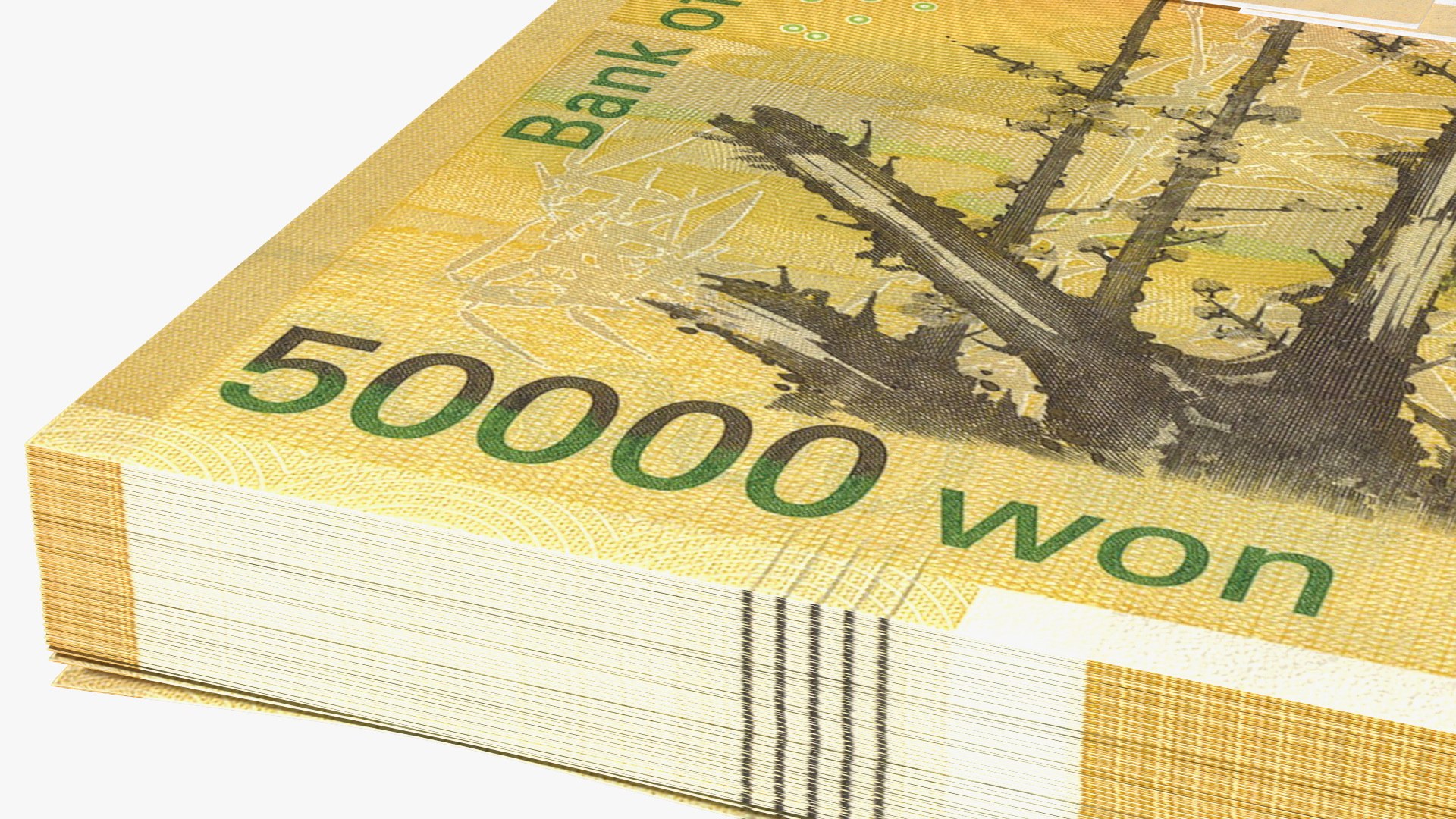South Korean 50000 Won Banknote Bundle Model - TurboSquid 1730037