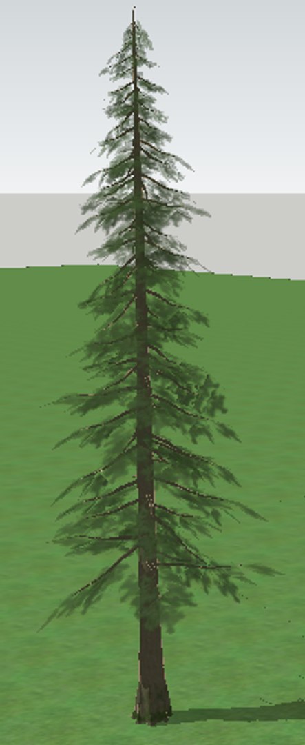 Tree Forest 3d Fbx