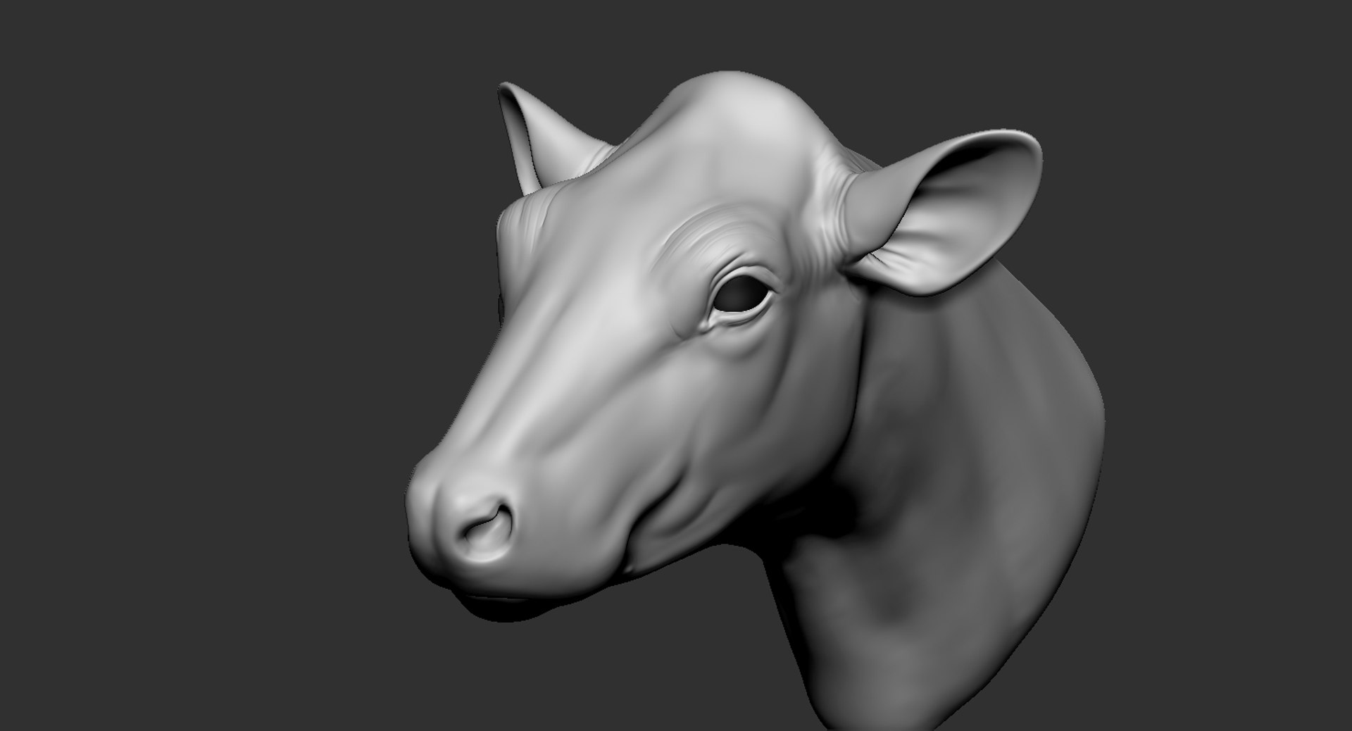 Cow Head Animal 2019 3D - TurboSquid 1428011