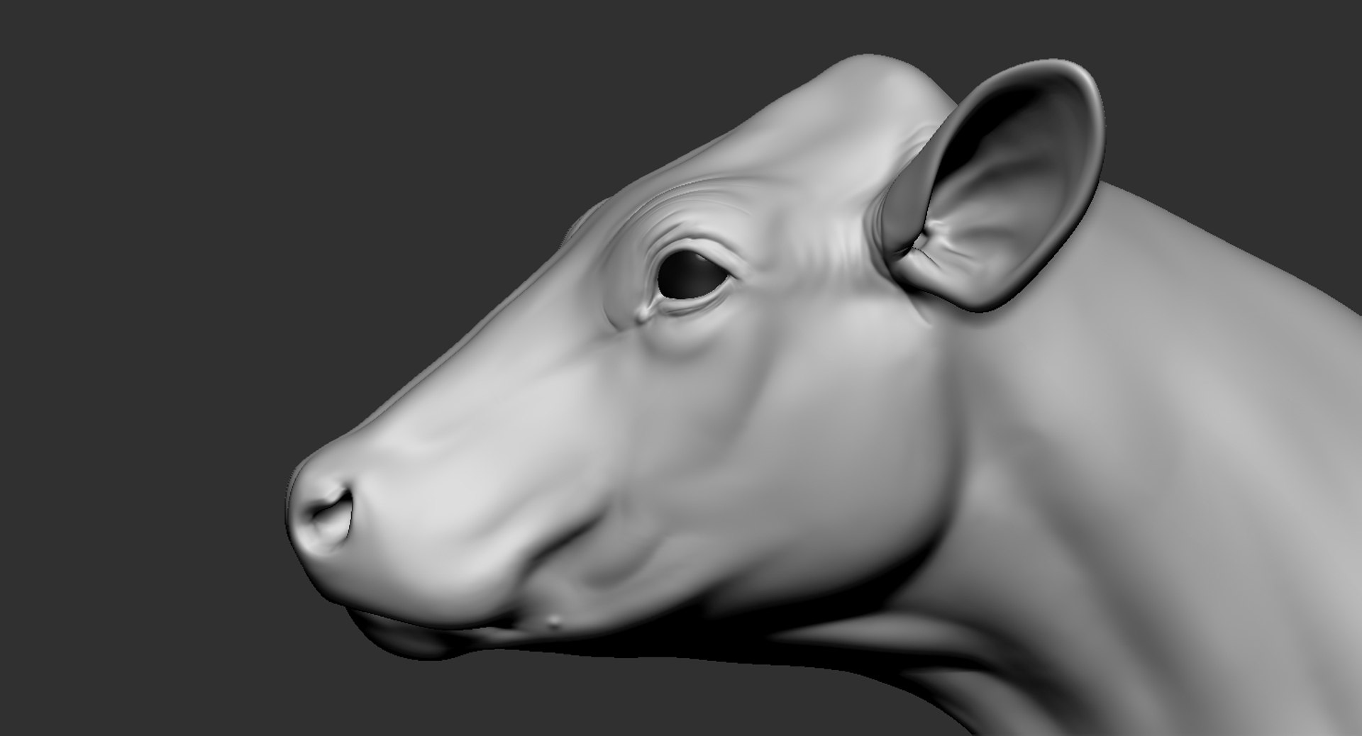Cow Head Animal 2019 3D - TurboSquid 1428011