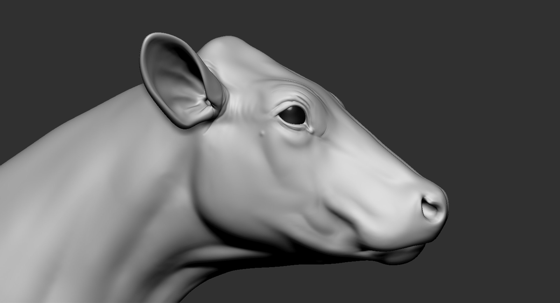 Cow Head Animal 2019 3D - TurboSquid 1428011