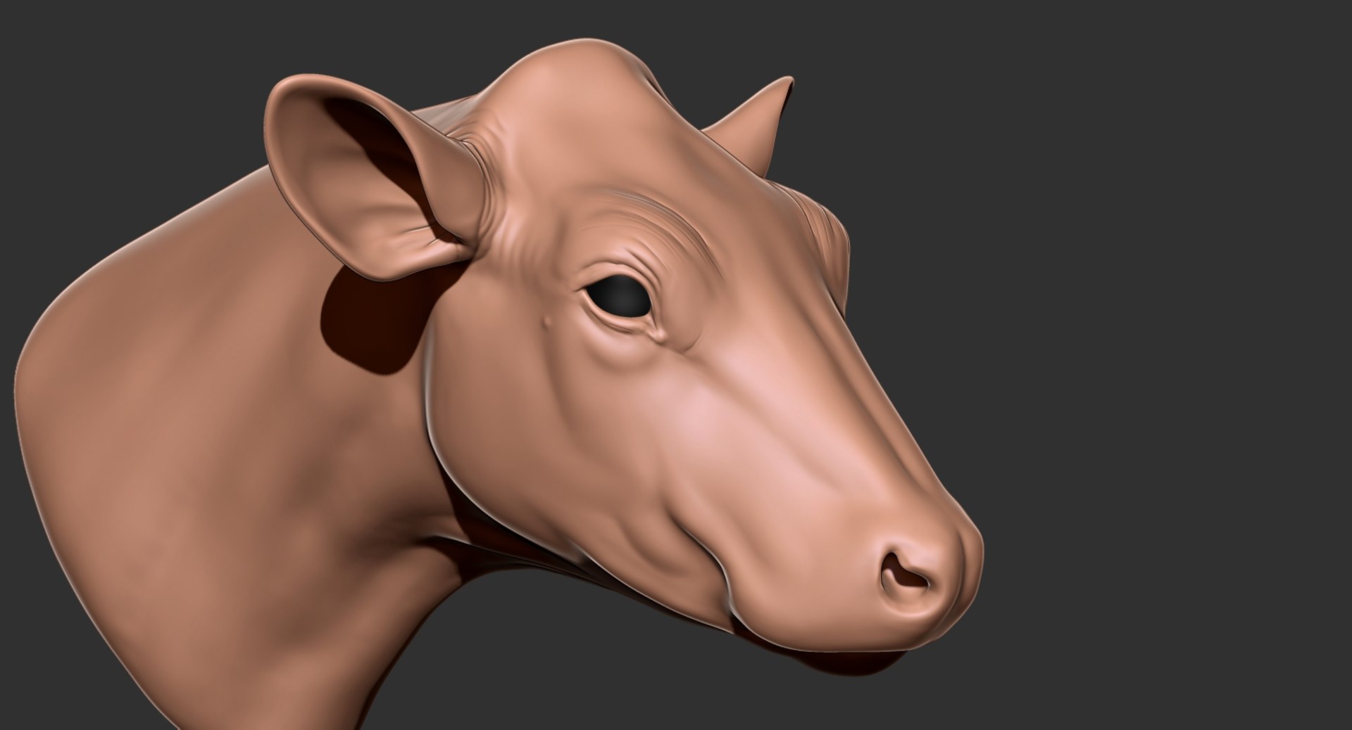 Cow Head Animal 2019 3D - TurboSquid 1428011