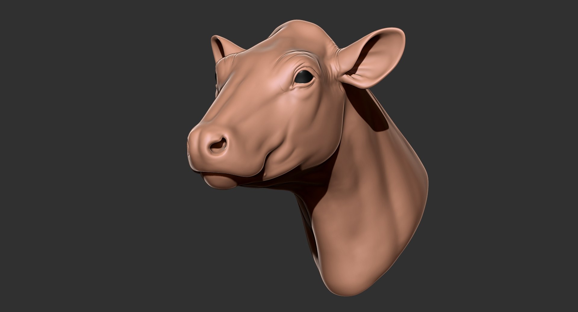 Cow Head Animal 2019 3D - TurboSquid 1428011