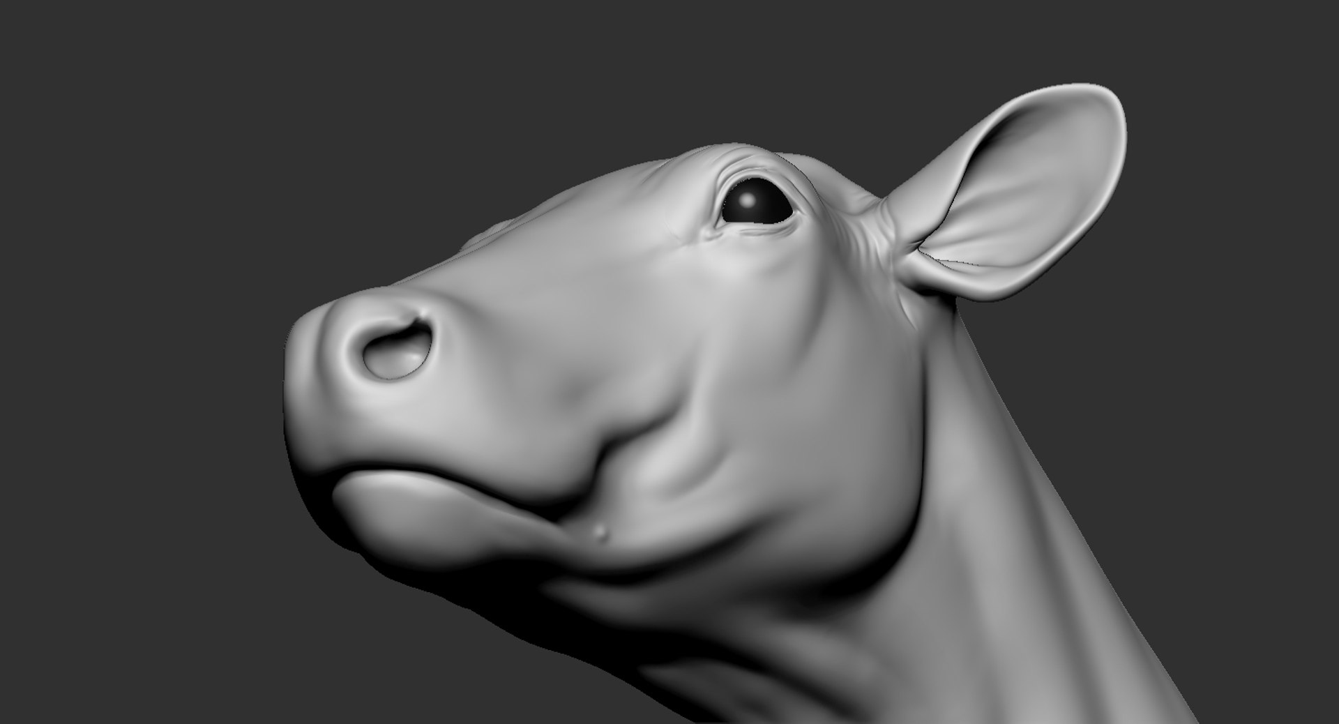 Cow Head Animal 2019 3D - TurboSquid 1428011