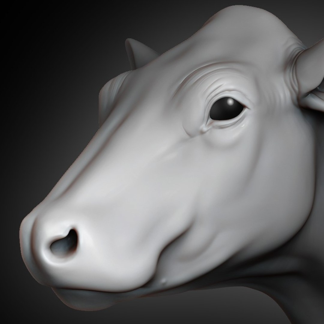 Cow Head Animal 2019 3D - TurboSquid 1428011