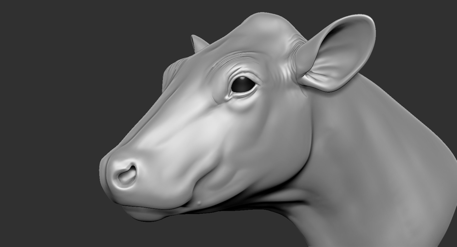Cow Head Animal 2019 3D - TurboSquid 1428011