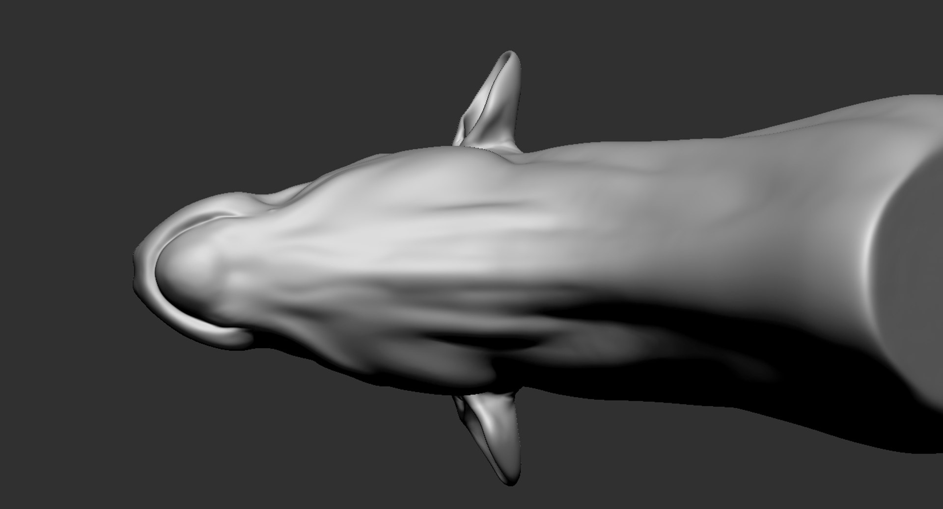 Cow Head Animal 2019 3D - TurboSquid 1428011