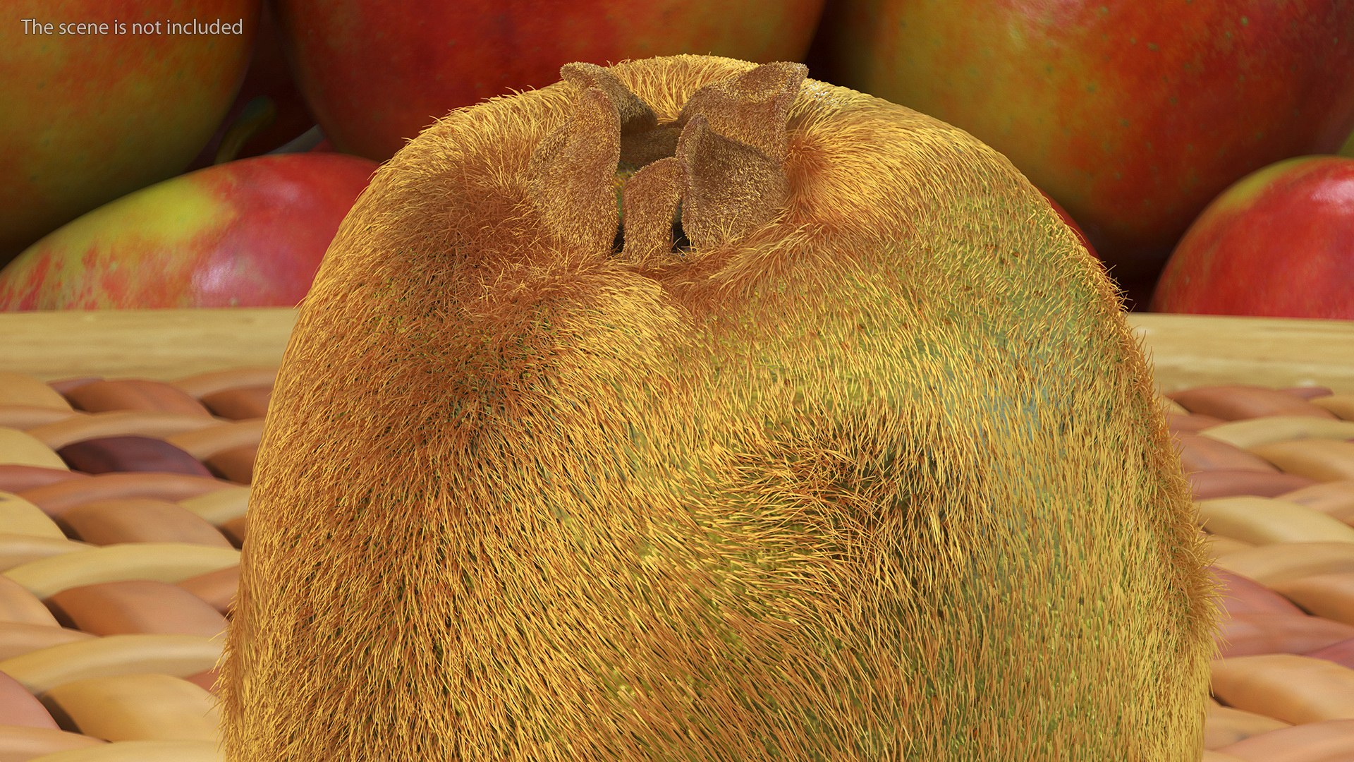 Kiwi Fruit With Fur 3D Model - TurboSquid 2113717