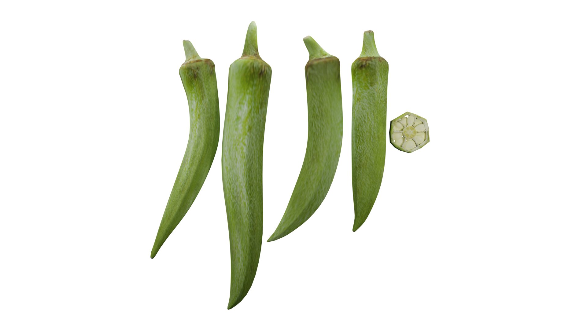 Ladies Finger 3D Model - TurboSquid 2121788